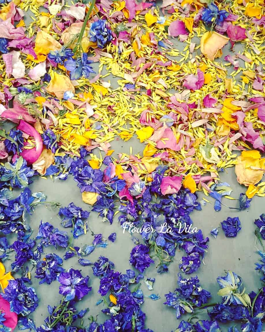 Biodegradable Confetti - Flower La Vita Florist- Torquay- Paignton-Torbay